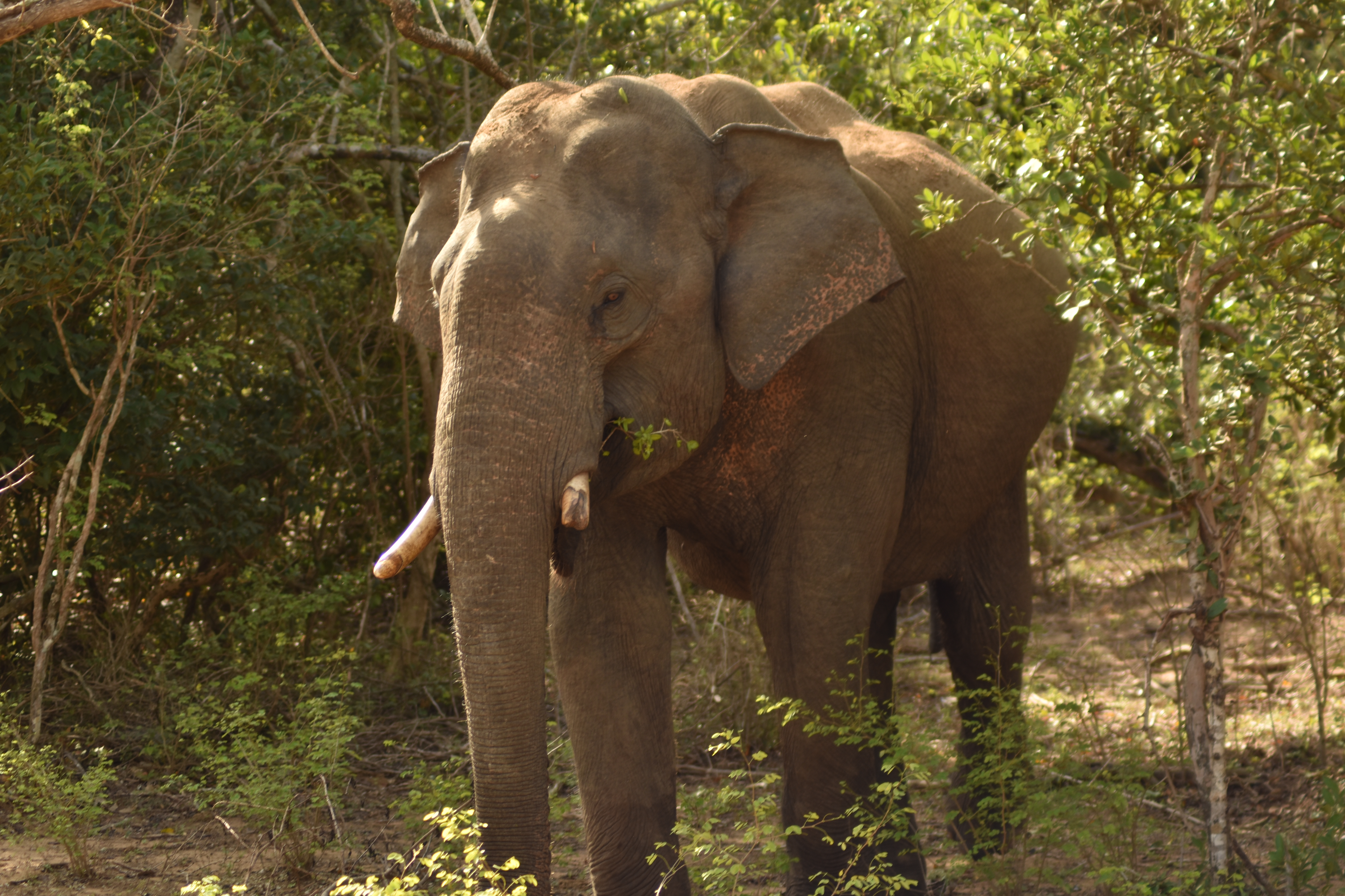Le Wagon - Web Development Sprint